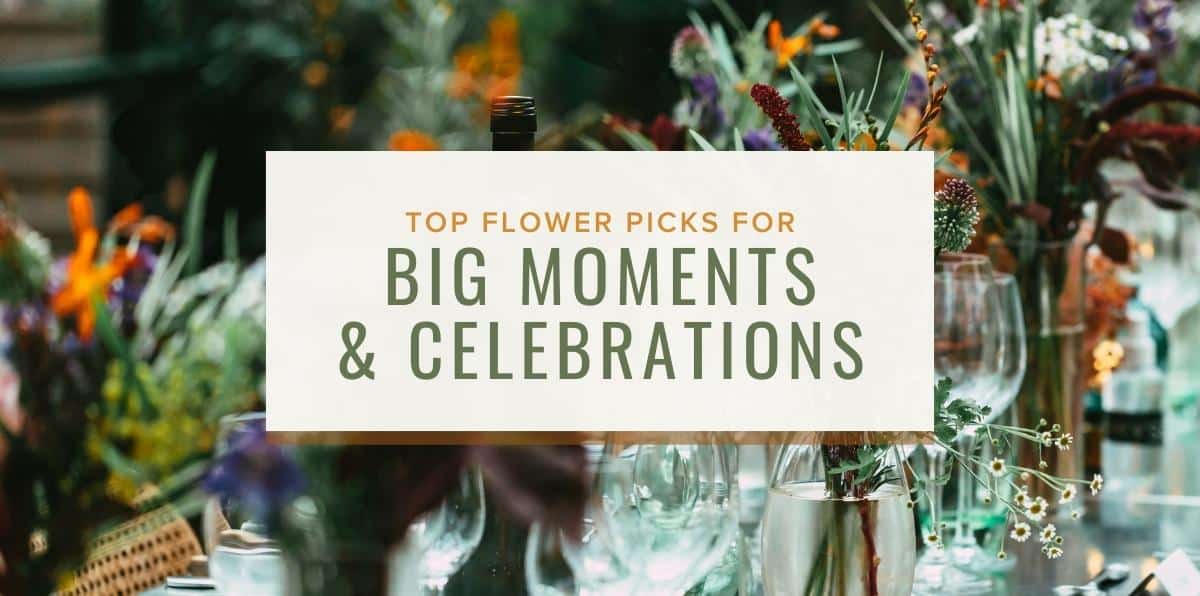 Tips for Matching Flowers to Special Events and Occasions Columbus ...